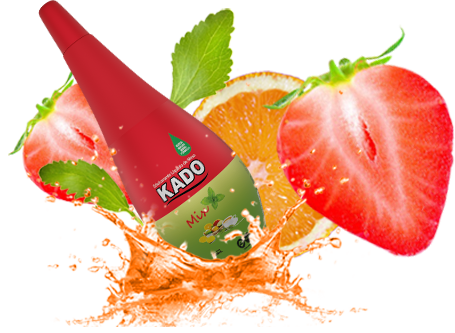 Teixeira – Productos Kado